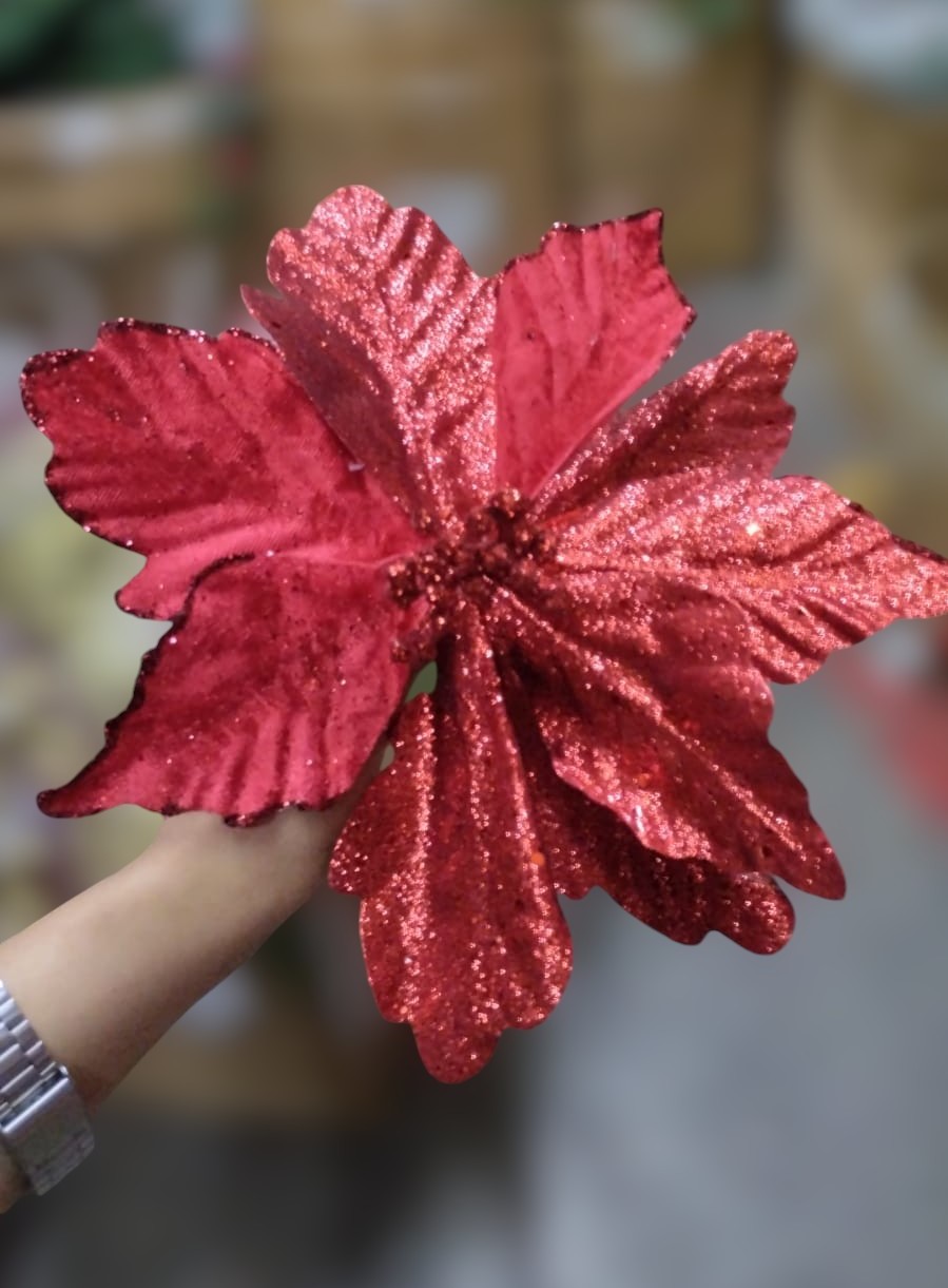 Nav Pastora Con Borde Escarchado - Almacén Rojo Vivo